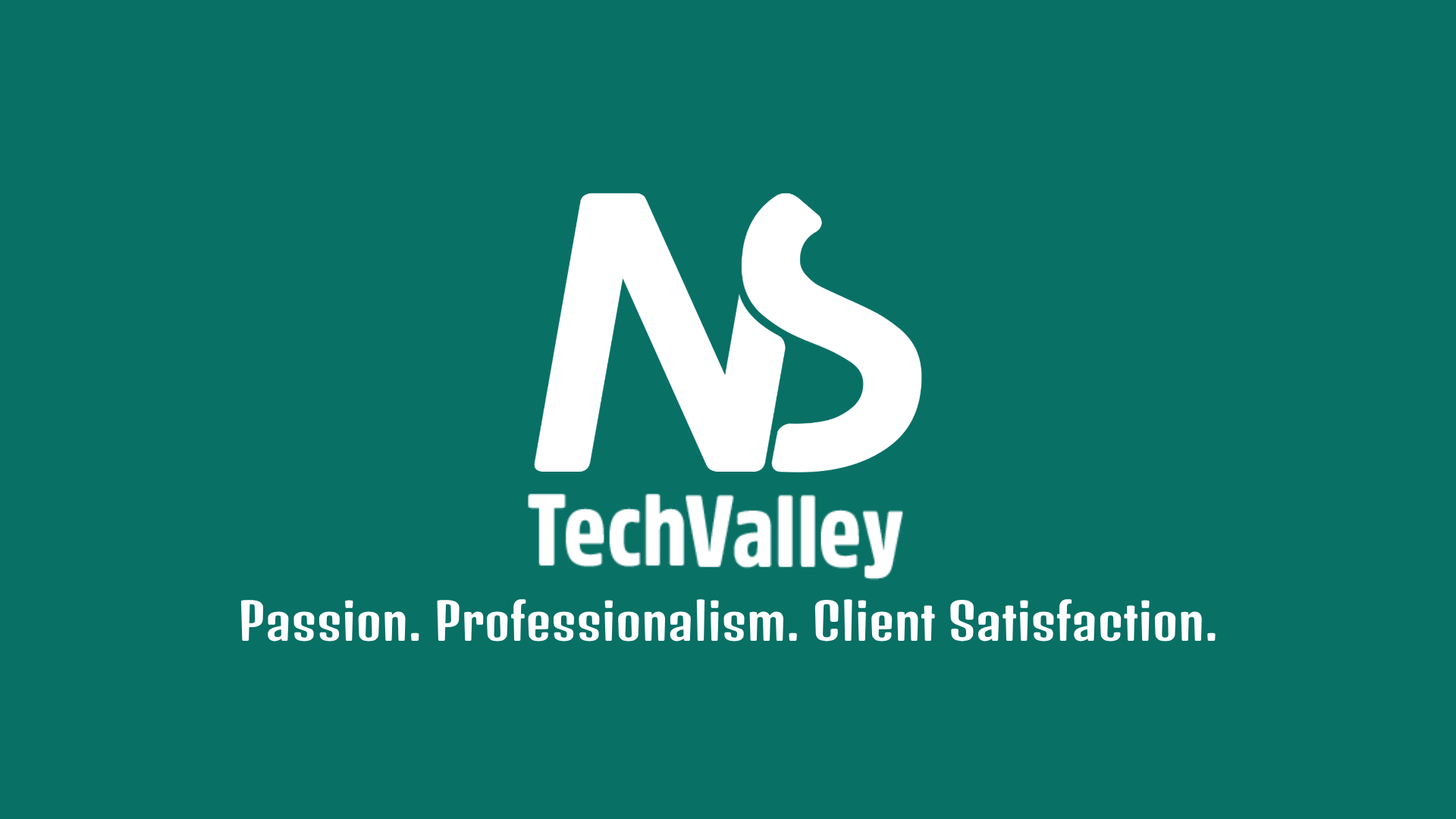 NS TechValley - Passion. Professionalism. Client Satisfaction.